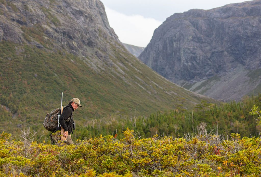 Hunting – The Next Ridge Outfitting